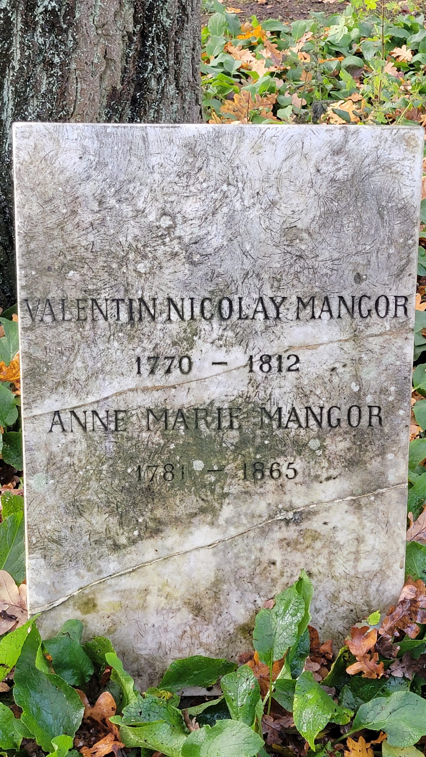 The Pending Assistens | Nicole M. Wolverton